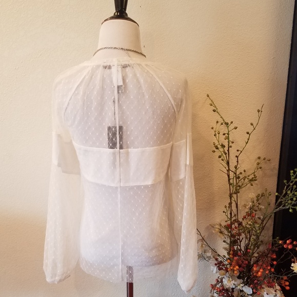 BCBGMaxAzria | Tops | Bcbgmaxazria Off White Sheer See Through Top Xs ...